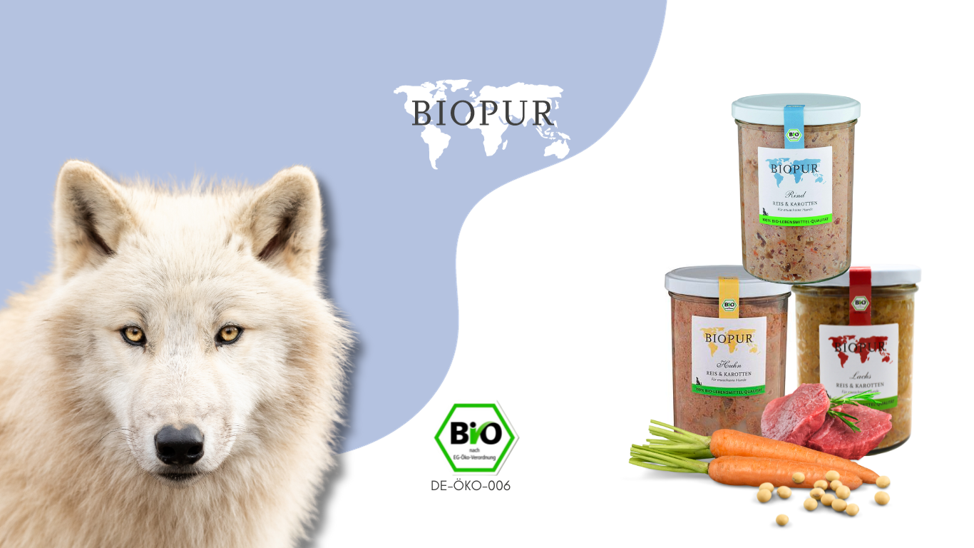 BIOPUR Bio-Hundefutter: Natürlich, Nachhaltig & Nahrhaft – BIOPUR ...